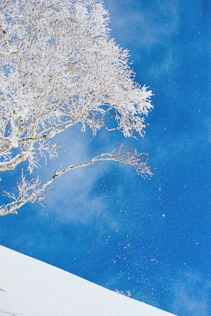 SUPERSKYについて | Supersky